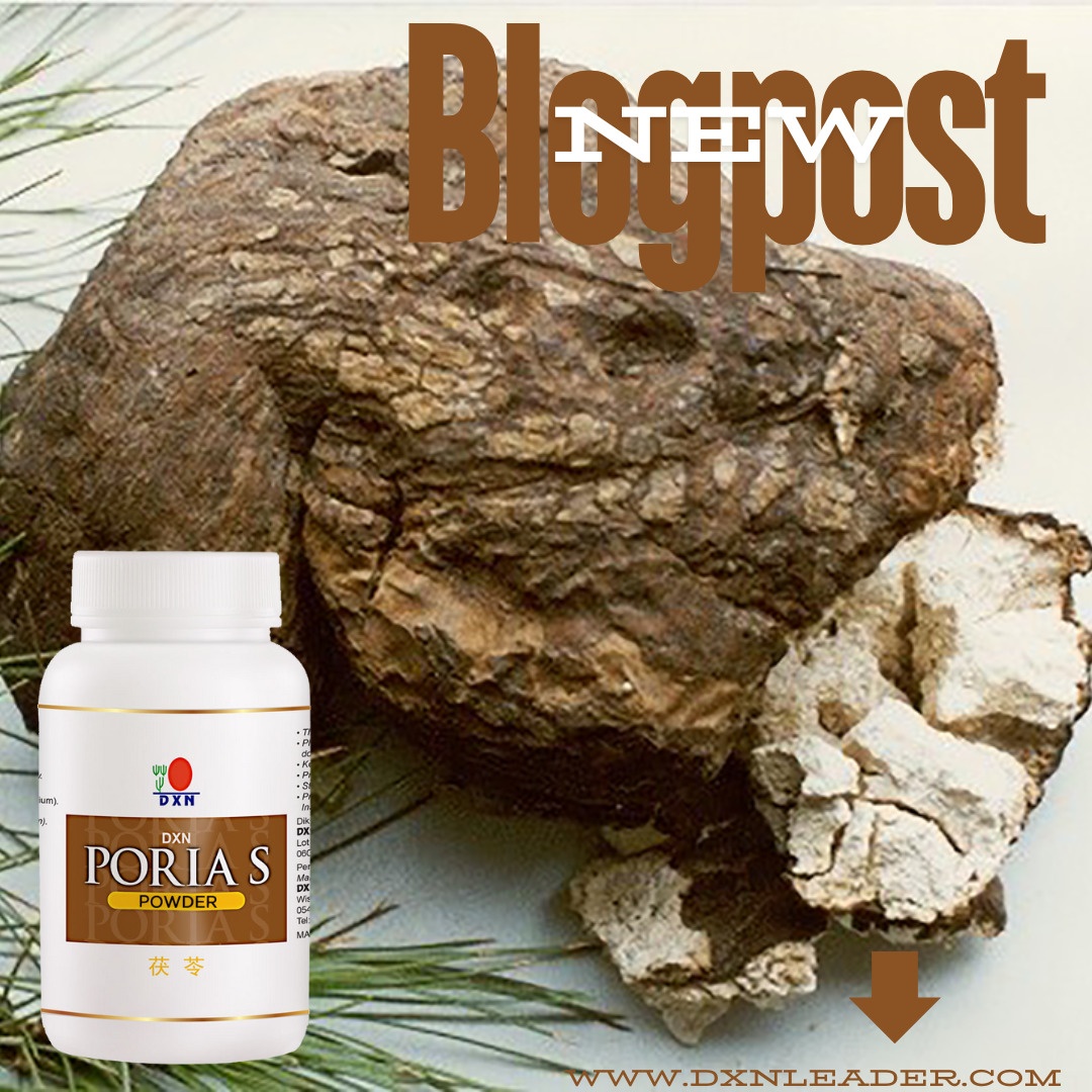 Blog - Solution for Edema? Discover the Coconut Mushroom, also known as ...